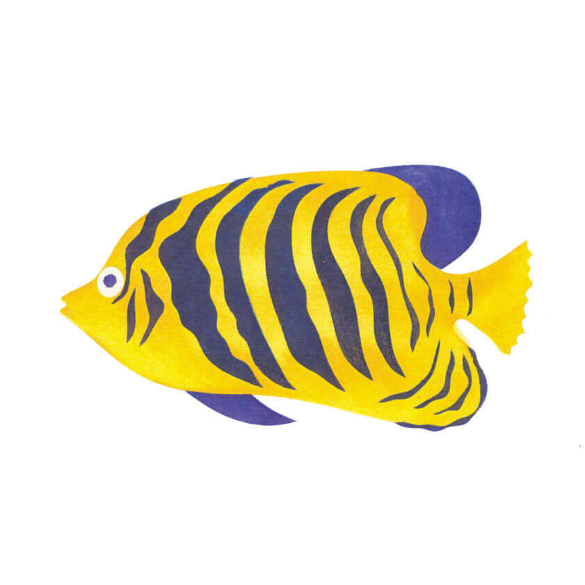 Angelfish Stencil for Walls and Decor