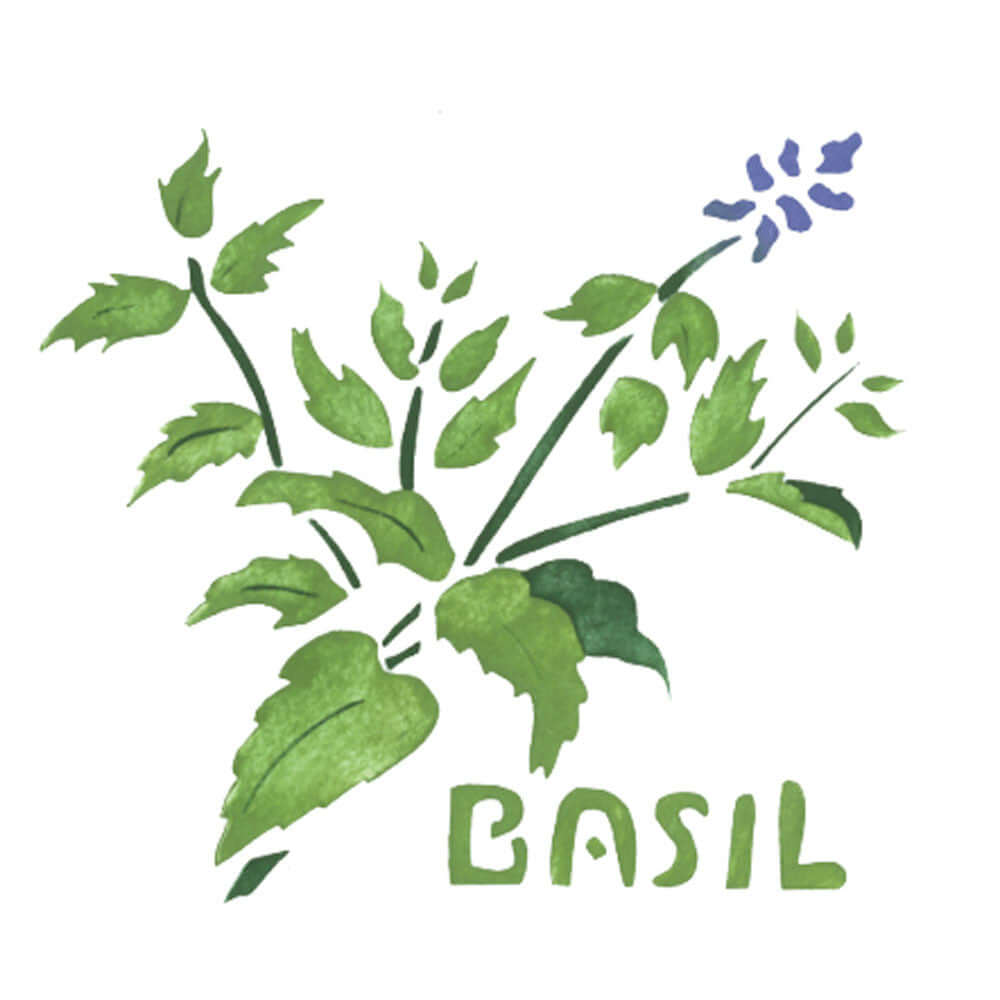 Basil Herb Stencil | Designer Stencils