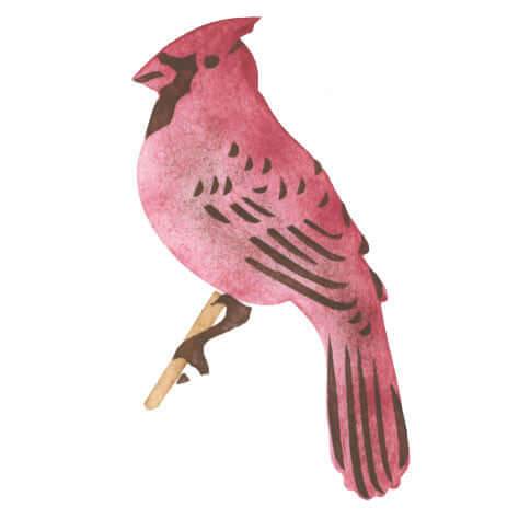 Cardinal Bird Stencil for Walls and Home Decor