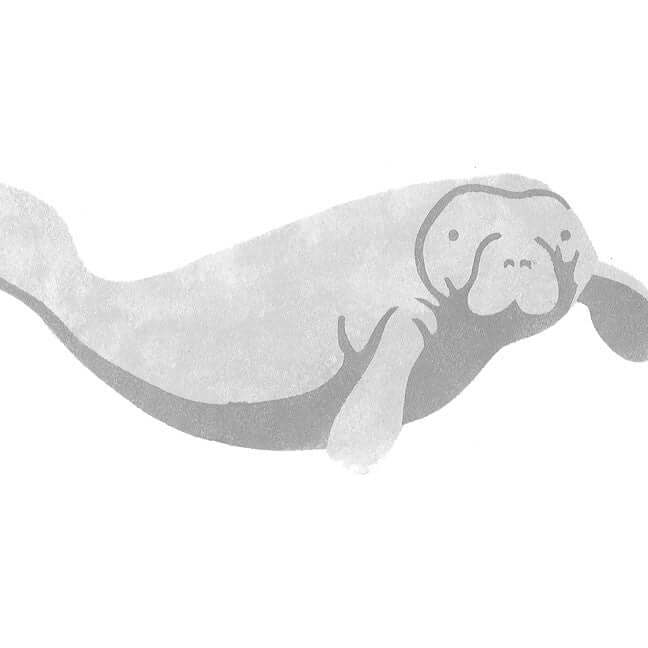 Single Manatee Stencil for Walls and Decor