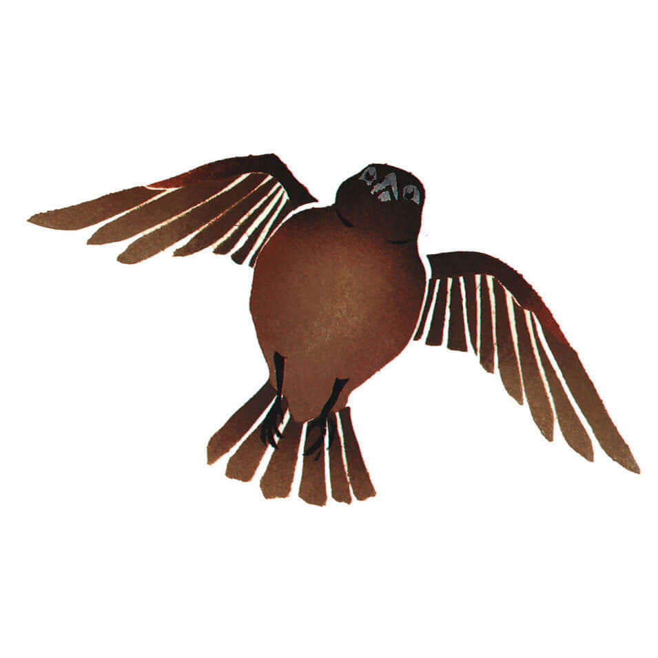 Flying Thrush Wall Stencil | DeeSigns