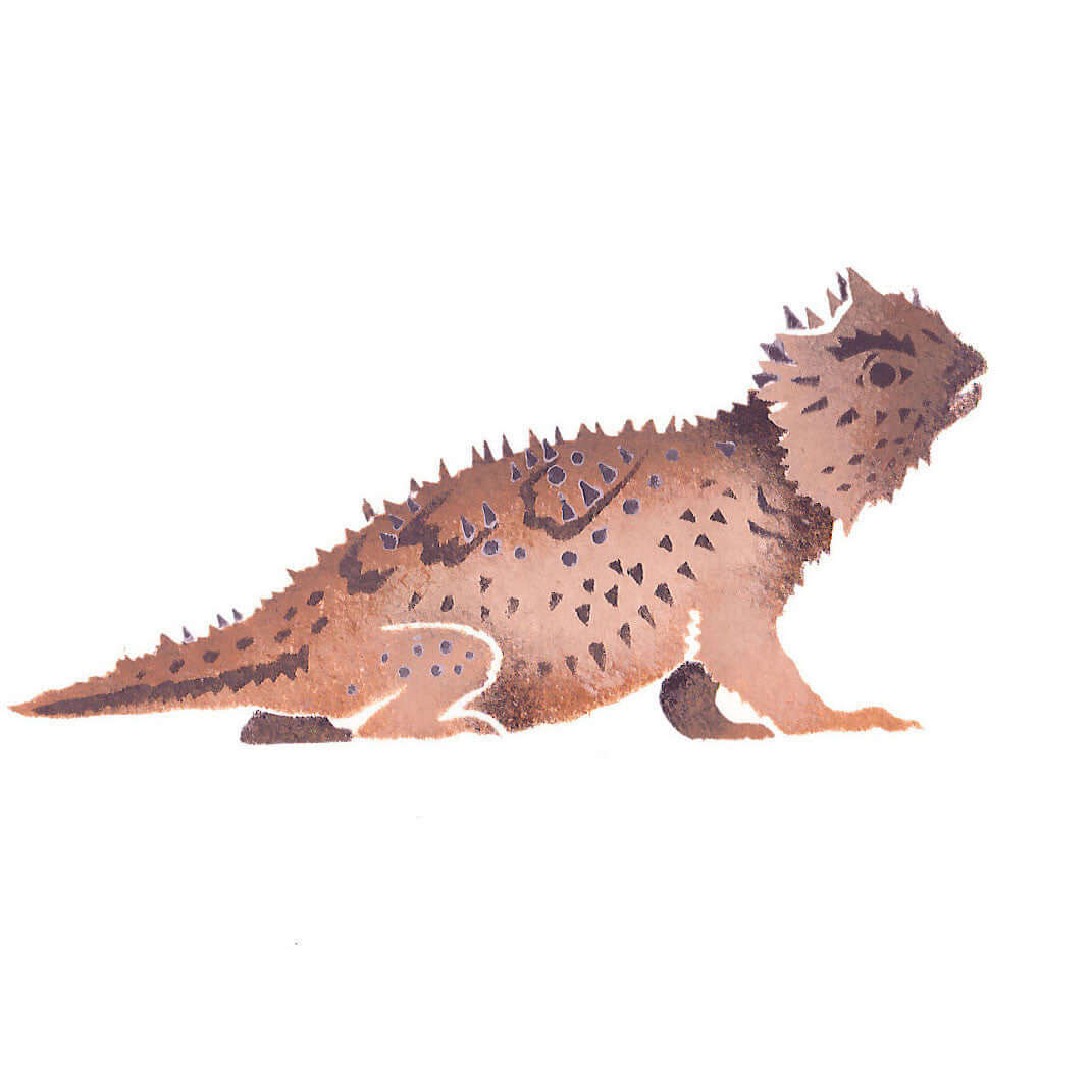 Horned Toad Wall Stencil by DeeSigns