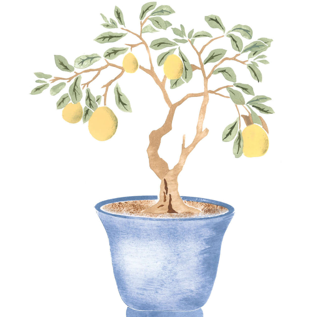 Winterthur Chinese Parlor Lemon Tree Stencil